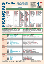 Plansa Francais Facile 1: Le Nom Les Articles L adjectif Qualificatif Les