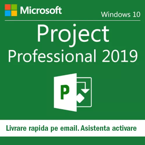 Microsoft Project 2019 Professional Licenta Permanenta - domo.ro