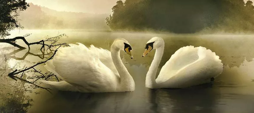 Panou bucatarie protectie plita aragaz antistropire print UV model 2 ...