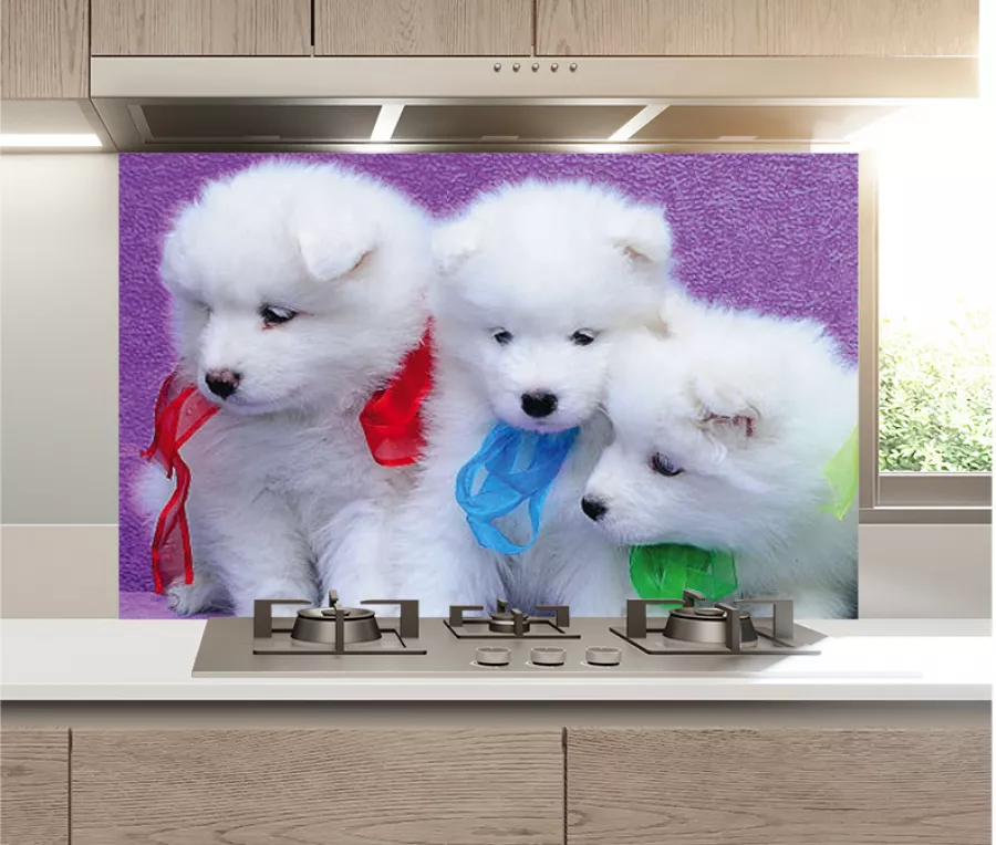 Panou bucatarie protectie plita aragaz antistropire print UV model Trei ...