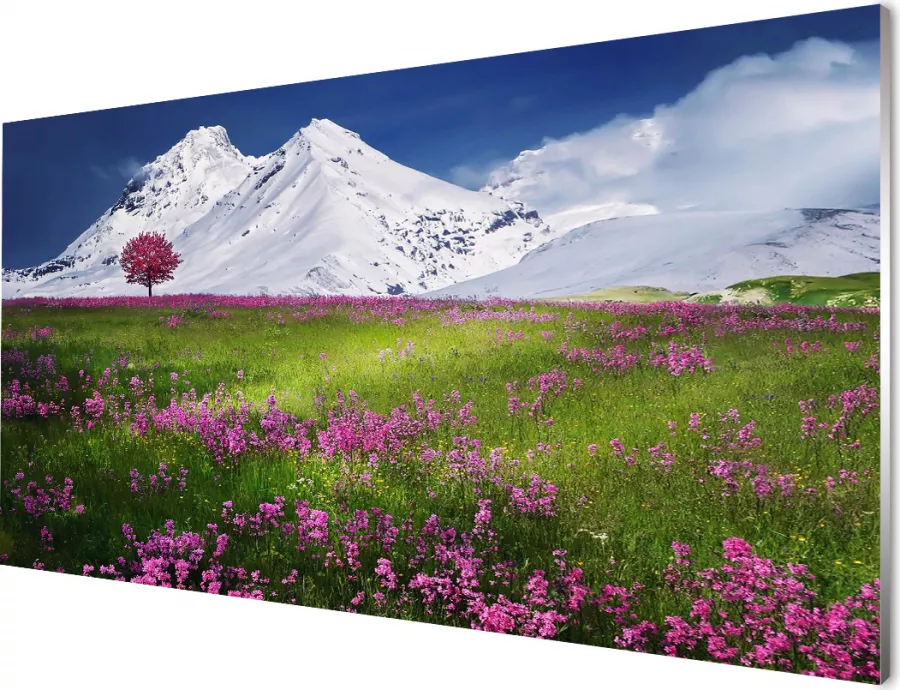 Tablou cu Peisaj de primavara Un camp de flori violet de primavara si ...