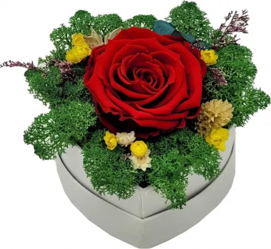 Aranjament inima mica cu licheni si trandafir criogenat rosu 11 cm ...