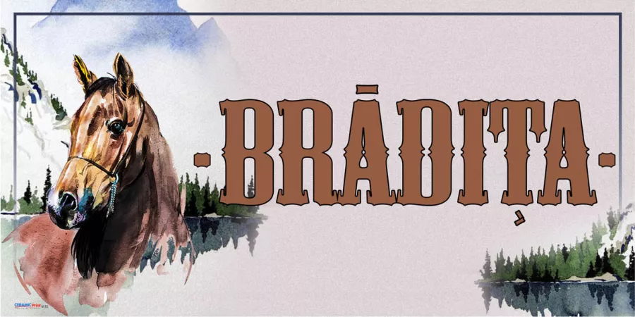 016A Model Caluti I - 20x40 b3nv_828735317 - domo.ro