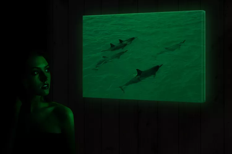 Tablou luminos in intuneric GlowforHome Delfini rotitori la suprafata ...