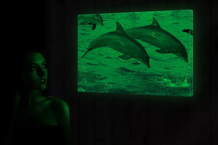 Tablou luminos in intuneric GlowforHome Delfinii Viata subacvatica in ...