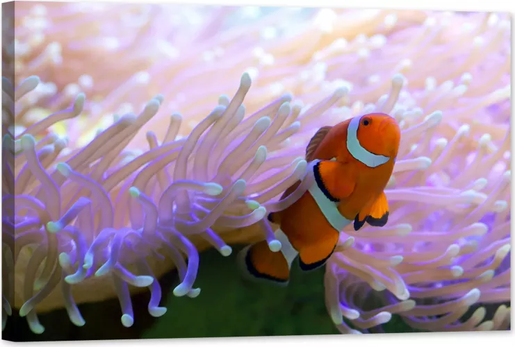 Tablou luminos in intuneric GlowforHome Peste clovn pe mare bariera ...