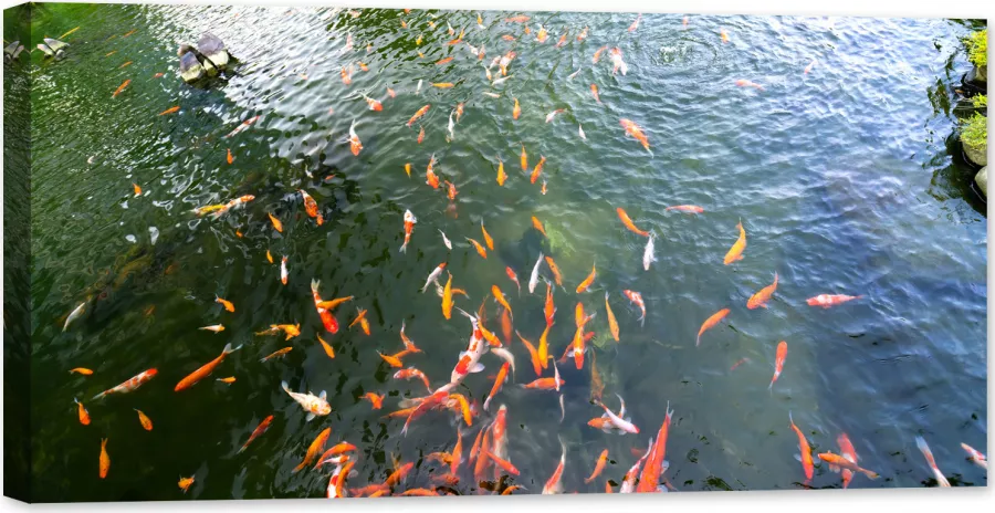 Tablou luminos in intuneric GlowforHome Peste Koi colorat in apa ...