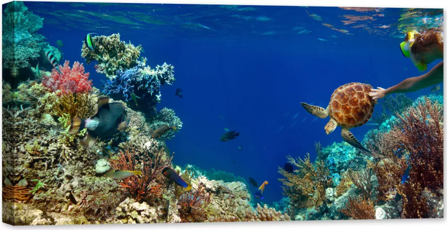 Tablou luminos in intuneric GlowforHome Recif de corali cu Sealife ...