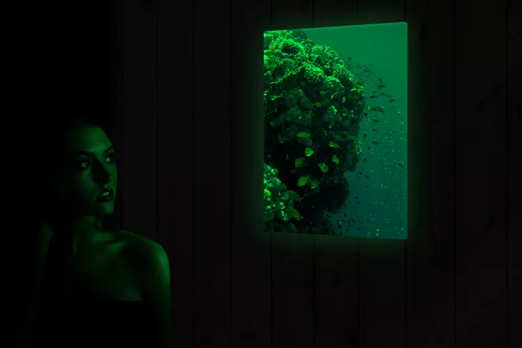 Tablou luminos in intuneric GlowforHome Viata subacvatica in mare ocean ...