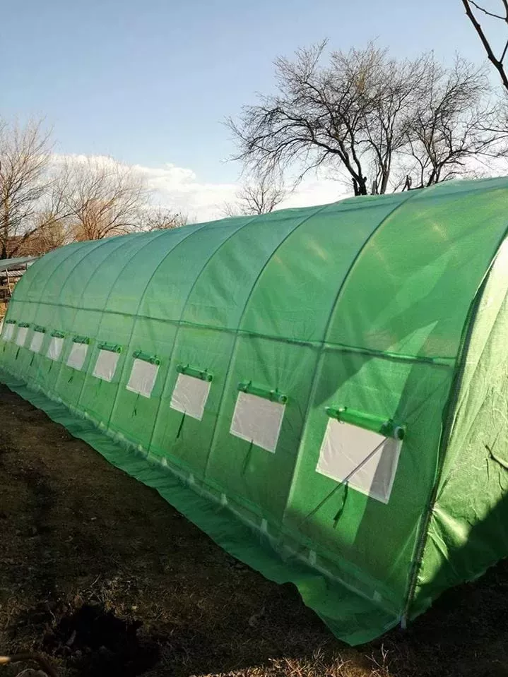 Solar de gradina 4x12 m 48 mp teava galvanizata solar4x12 - domo.ro