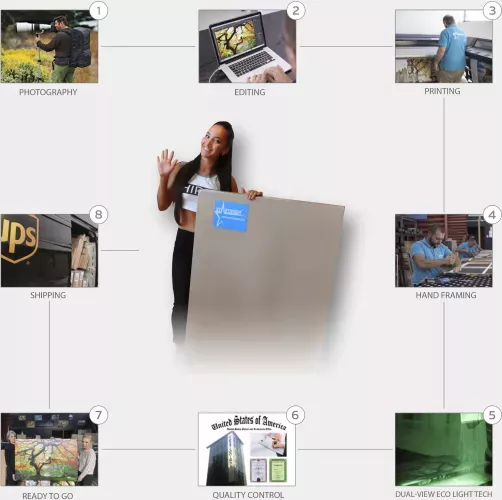 Tablou DualView Startonight Copac singuratic toamna luminos in ...