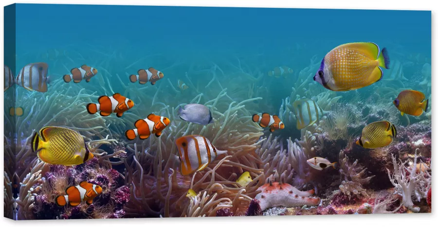 Tablou canvas luminescent luminos in intuneric GlowforHome Dualv-View ...