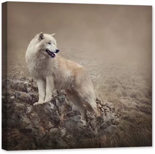 Tablou luminos in intuneric GlowforHome Lupul alb pe stanci 60 cm x 60 cm - domo.ro