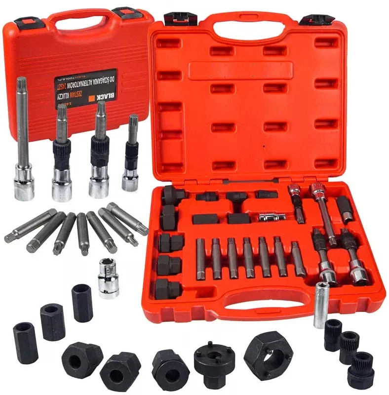 Trusa set montare demontare fulie alternator 25 piese 14026 wszk ...