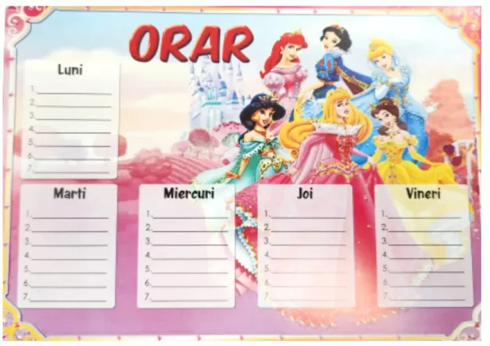 Orar Scolar Fete/Baieti zzpd_617689690 - domo.ro