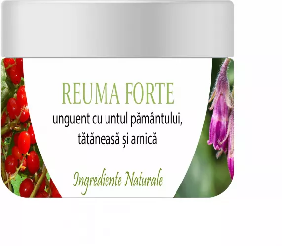 Reuma Forte Unguent cu Untul Pamantului Tataneasa si Arnica 100 Natural ...