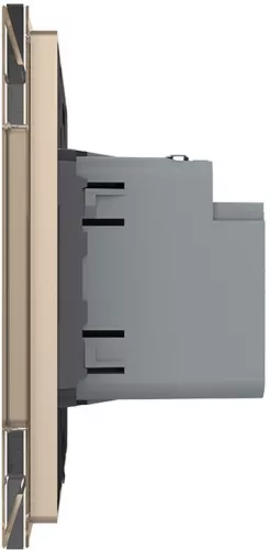 Priza USB Type-C Livolo cu Rama din Sticla Auriu VL-FCUC-2AP-13 - domo.ro