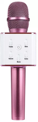 Microfon Klausstech Wireless Cu Sistem Karaoke Profesional Boxe Si ...