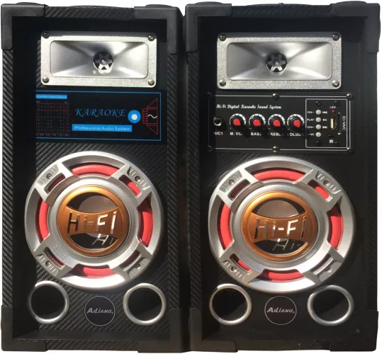 Set Boxe Active Profesionale Ailiang Cu Conectivitate Prin Functia ...