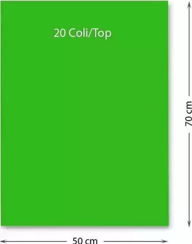 Hartie Cartonata FAVINI Verde 50x70 cm 20 Coli/Top 220 g/mp Carton Colorat