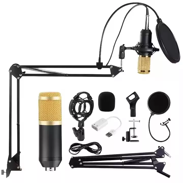 Microfon Condensator Profesional cu Suport Articulat Filtru Pop si ...