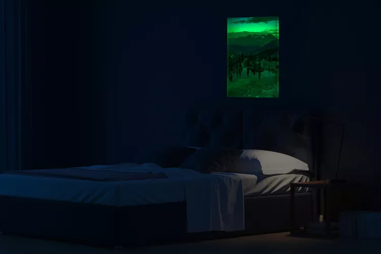 Tablou canvas luminescent luminos in intuneric GlowforHome Dualv-View ...