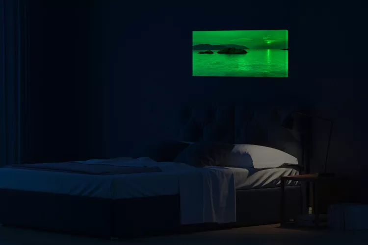 Tablou canvas luminescent luminos in intuneric GlowforHome Dualv-View ...
