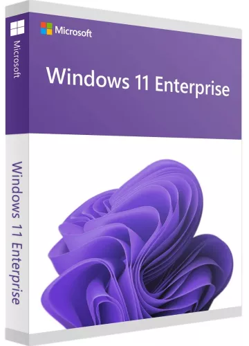 Windows 11 Enterprise LTSC 2024 1 dispozitiv - licenta digitala ...