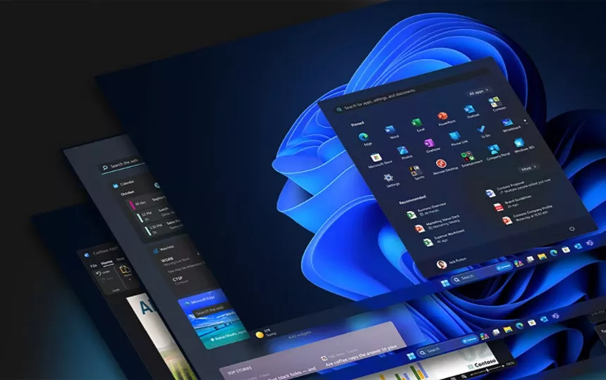 Licenta electronica Windows 11 Professional OEM MSWIN11ENTRPGK - domo.ro