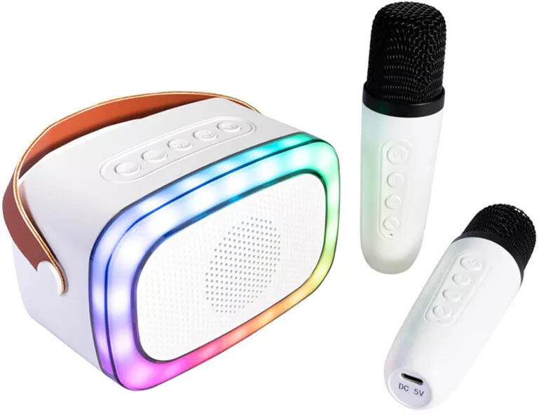 Boxa Portabila Party Karaoke cu 2 Microfoane Functie BT/USB/TWS